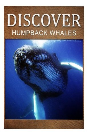 Humpback Whales - Discover: Early reader's wildlife photography book by ...