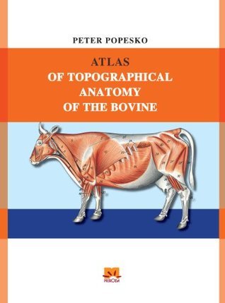 ATLAS OF TOPOGRAPHICAL ANATOMY OF THE BOVINE by Peter Popesko | Goodreads