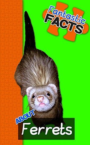 Fantastic Facts About Ferrets: Illustrated Fun Learning For Kids by ...