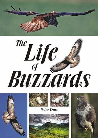 The Life of Buzzards by Peter Dare | Goodreads