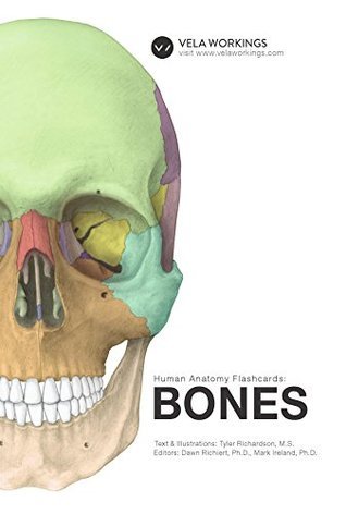 Human Anatomy Flashcards: Bones by Tyler Richardson | Goodreads
