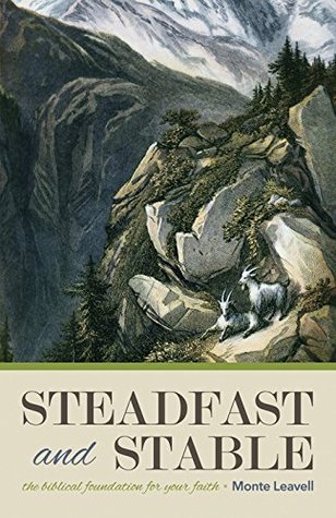 Steadfast and Stable: The Biblical Foundation for Your Faith by Monte ...