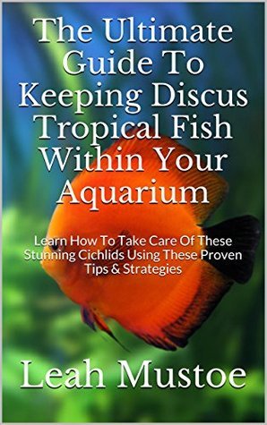 The Ultimate Guide To Keeping Discus Tropical Fish Within Your Aquarium ...