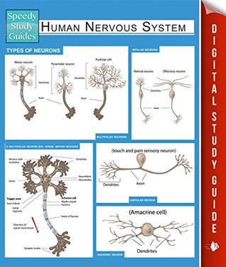 Human Nervous System (Speedy Study Guides) by Speedy Publishing | Goodreads