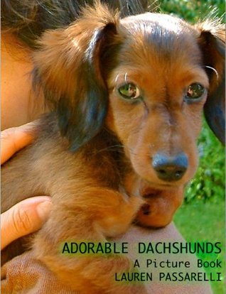 Adorable Dachshunds A Picture Book by Lauren Passarelli | Goodreads