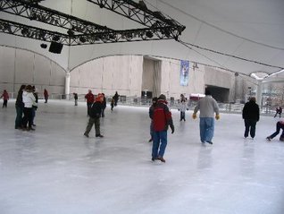 Ice Skating Rink Facility Start Up Business Plan NEW! by Bplanxchange ...