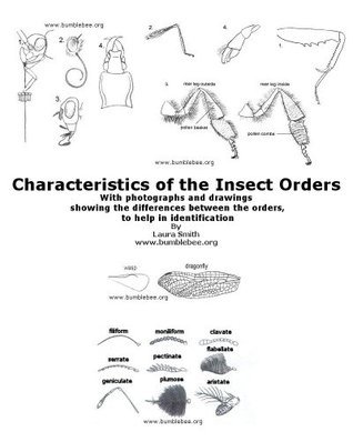 Characteristics of the Insect Orders by Laura Smith | Goodreads
