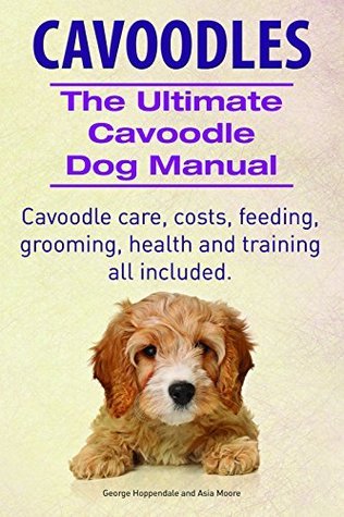 Cavoodles.Cavoodle care, costs, feeding, grooming, training and health ...