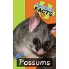Fantastic Facts About Possums: Illustrated Fun Learning For Kids by ...