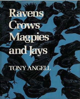 Ravens, Crows, Magpies and Jays by Tony Angell | Goodreads
