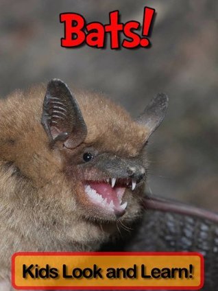 Bats! Learn About Bats and Enjoy Colorful Pictures - Look and Learn! by ...