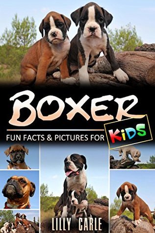 Boxer: Fun Facts & Pictures For Kids by Lilly Carle | Goodreads