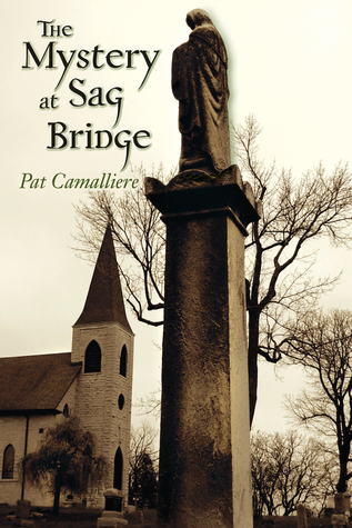 The Mystery at Sag Bridge by Pat Camalliere | Goodreads