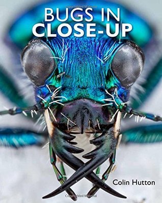 Bugs In Close-Up by Colin Hutton | Goodreads