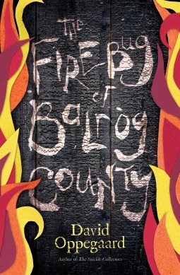 The Firebug of Balrog County by David Oppegaard | Goodreads