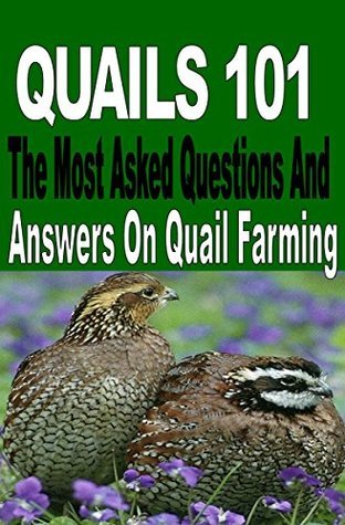 Quails 101: The Most Asked Questions And Answers On Quail Farming by ...