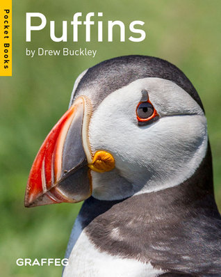 Puffins (Pocket Books) by Drew Buckley | Goodreads