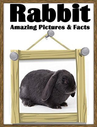 Rabbits: Amazing Pictures and Facts about Rabbits! ( With Cute Photos ...