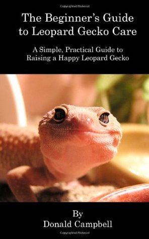 The Beginner's Guide to Leopard Gecko Care: A Simple, Practical Guide ...