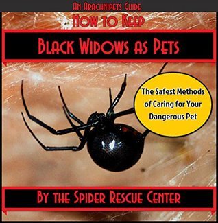How to Keep Black Widows as Pets: The Safest Methods of Caring for Your ...