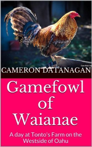 Gamefowl of Waianae: A day at Tonto's Farm on the Westside of Oahu by ...