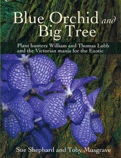 Blue Orchid and Big Tree by Sue Shepard, Toby Musgrave | Goodreads