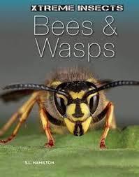 Bees & wasps (Xtreme Insects) by Sue L. Hamilton | Goodreads
