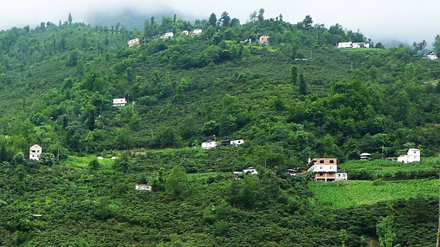 Ubykh by Simon Scarfield | Goodreads