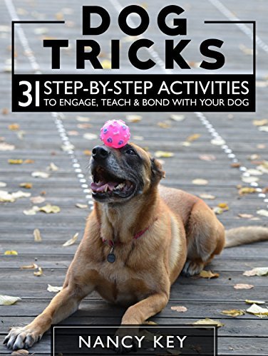 Dog Tricks: 31 Step-By-Step Activities To Engage, Teach & Bond With ...