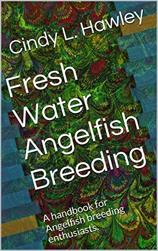 Freshwater Angelfish Breeding: A handbook for Angelfish breeding ...