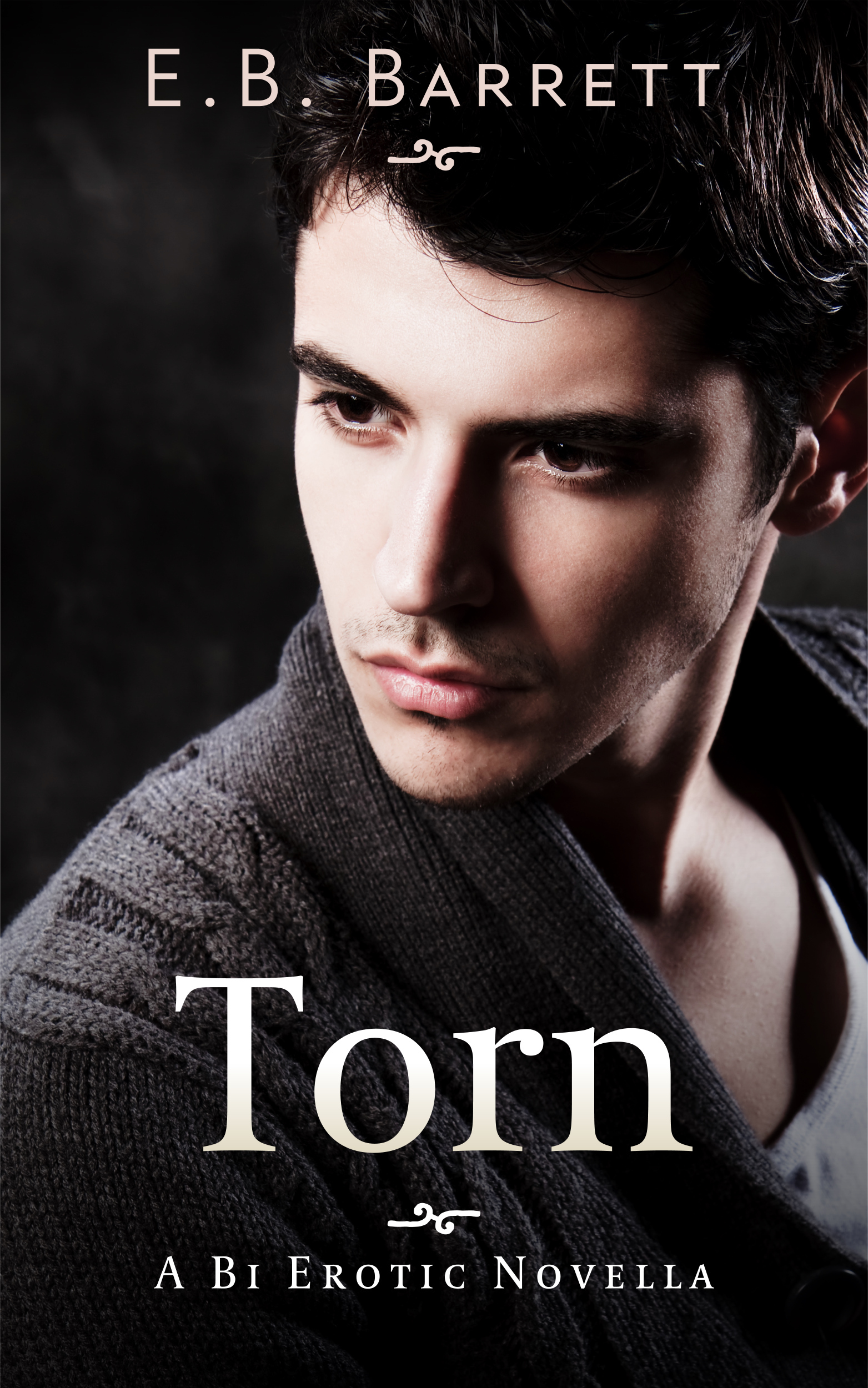 Torn: a bi erotic novella by E.B. Barrett | Goodreads
