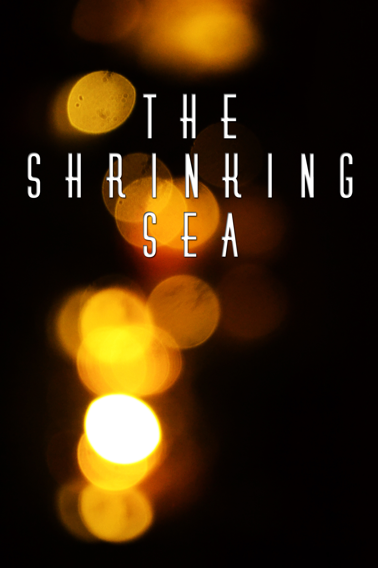 The Shrinking Sea by Steve King | Goodreads