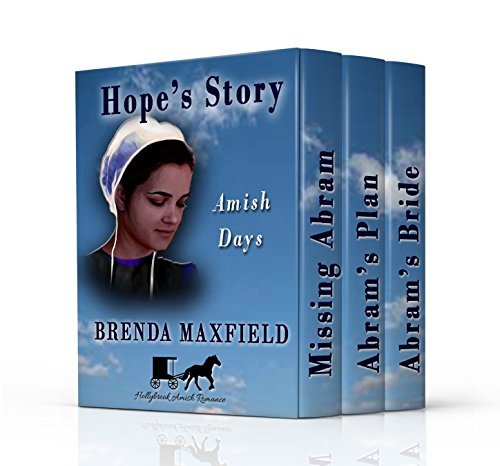 Hope's Story by Brenda Maxfield | Goodreads