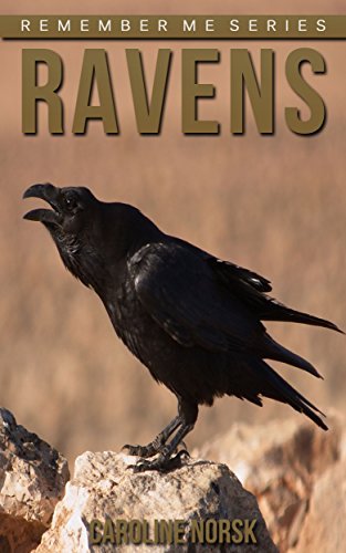 Raven: Amazing Photos & Fun Facts Book About Ravens For Kids by ...