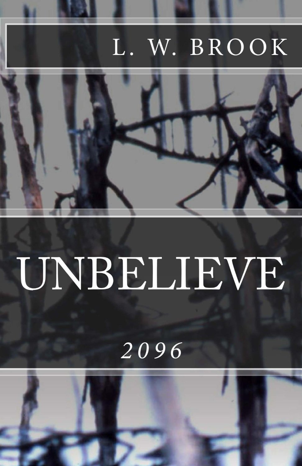 Unbelieve 2096 by L.W. Brook | Goodreads