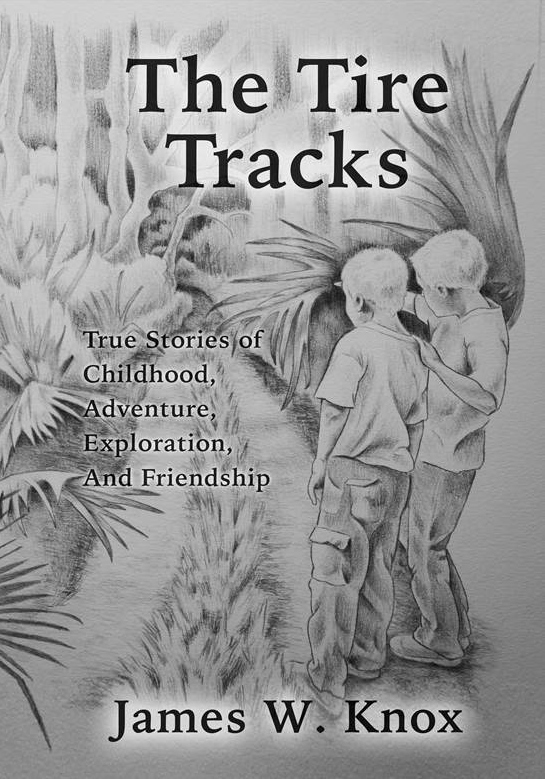The Tire Tracks: True Stories of Childhood, Adventure, Exploration, And ...