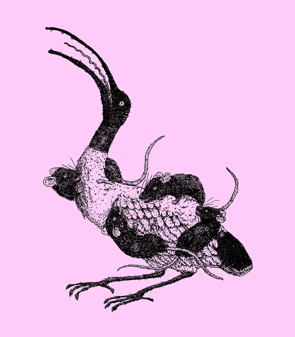 Fluid Prejudice: Australian History Comic Anthology by Sam Wallman ...