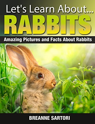Rabbits: Amazing Picture and Facts About Rabbits by Breanne Sartori ...