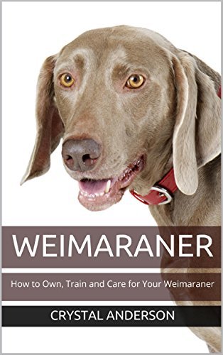 Weimaraner: How to Own, Train and Care for Your Weimaraner by Crystal ...
