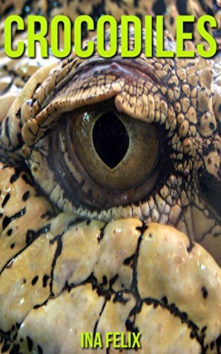 Crocodiles: Children Book of Fun Facts & Amazing Photos on Animals in ...