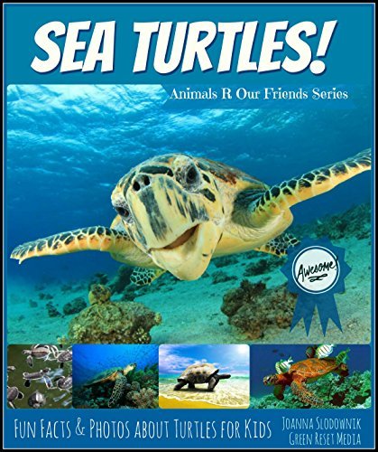 Sea Turtles! Fun Facts about Turtles Book for Kids with Amazing Photos ...