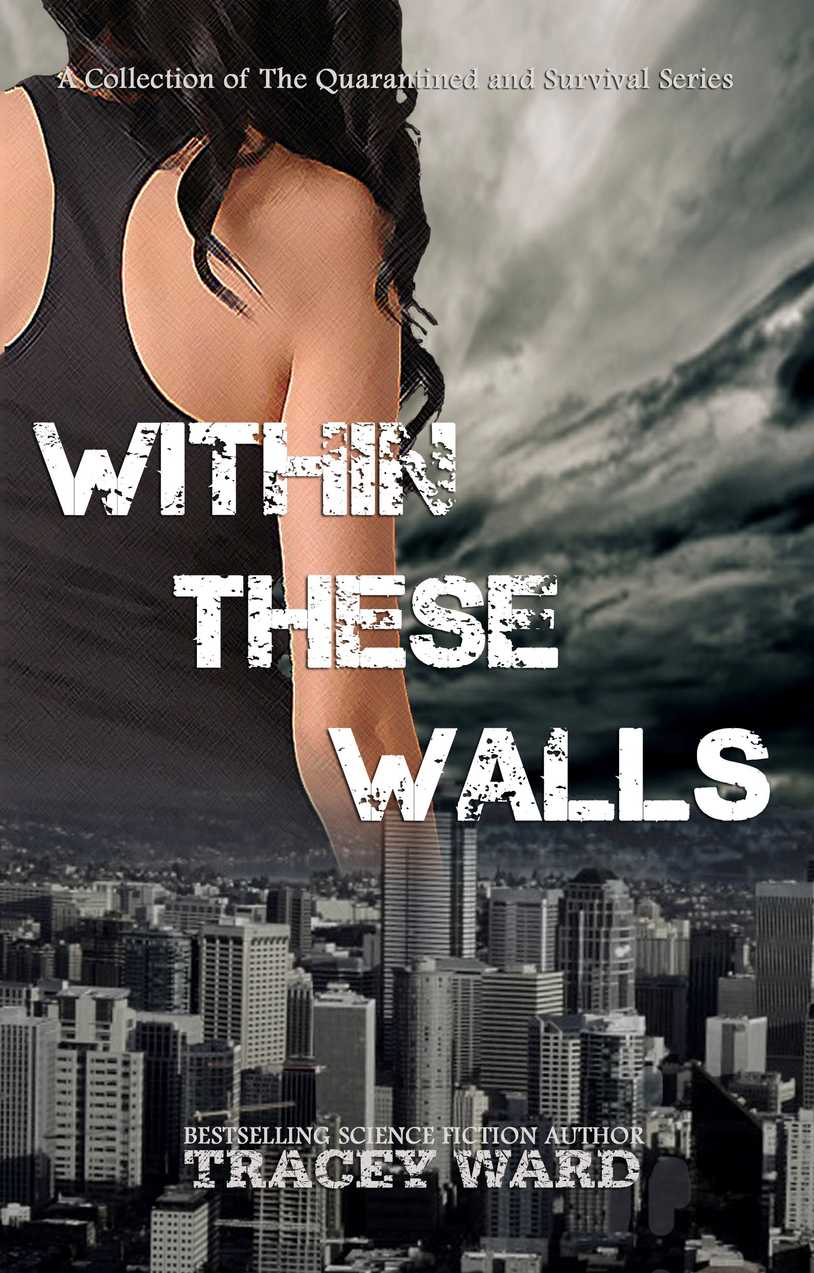 Within These Walls: A Box Set of the Qurantined and Survival Series by ...