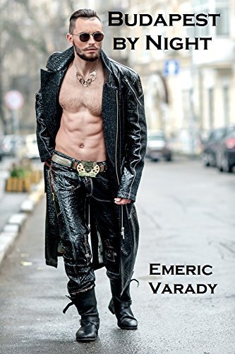 Budapest by Night by Emeric Varady | Goodreads