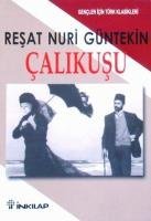 Çalıkuşu: 100 Temel Eser Gençler İçin by Reşat Nuri Güntekin | Goodreads