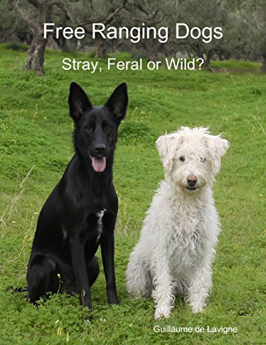 Free Ranging Dogs - Stray, Feral or Wild? by Guillaume De LaVigne ...