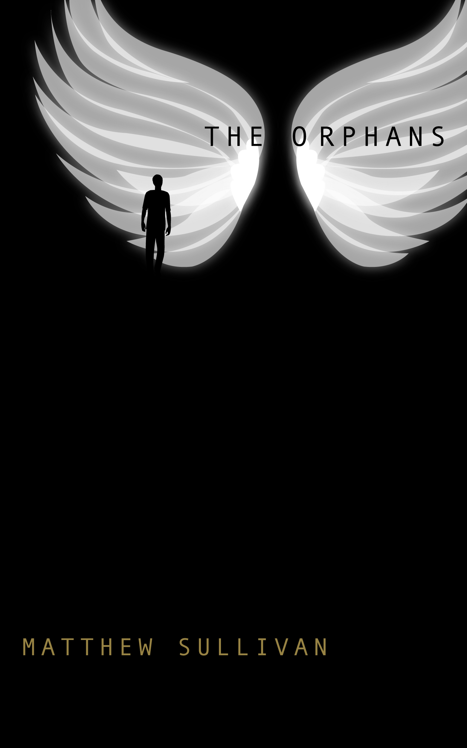 The Orphans (Orphans Trilogy, #1) by Matthew Sullivan | Goodreads