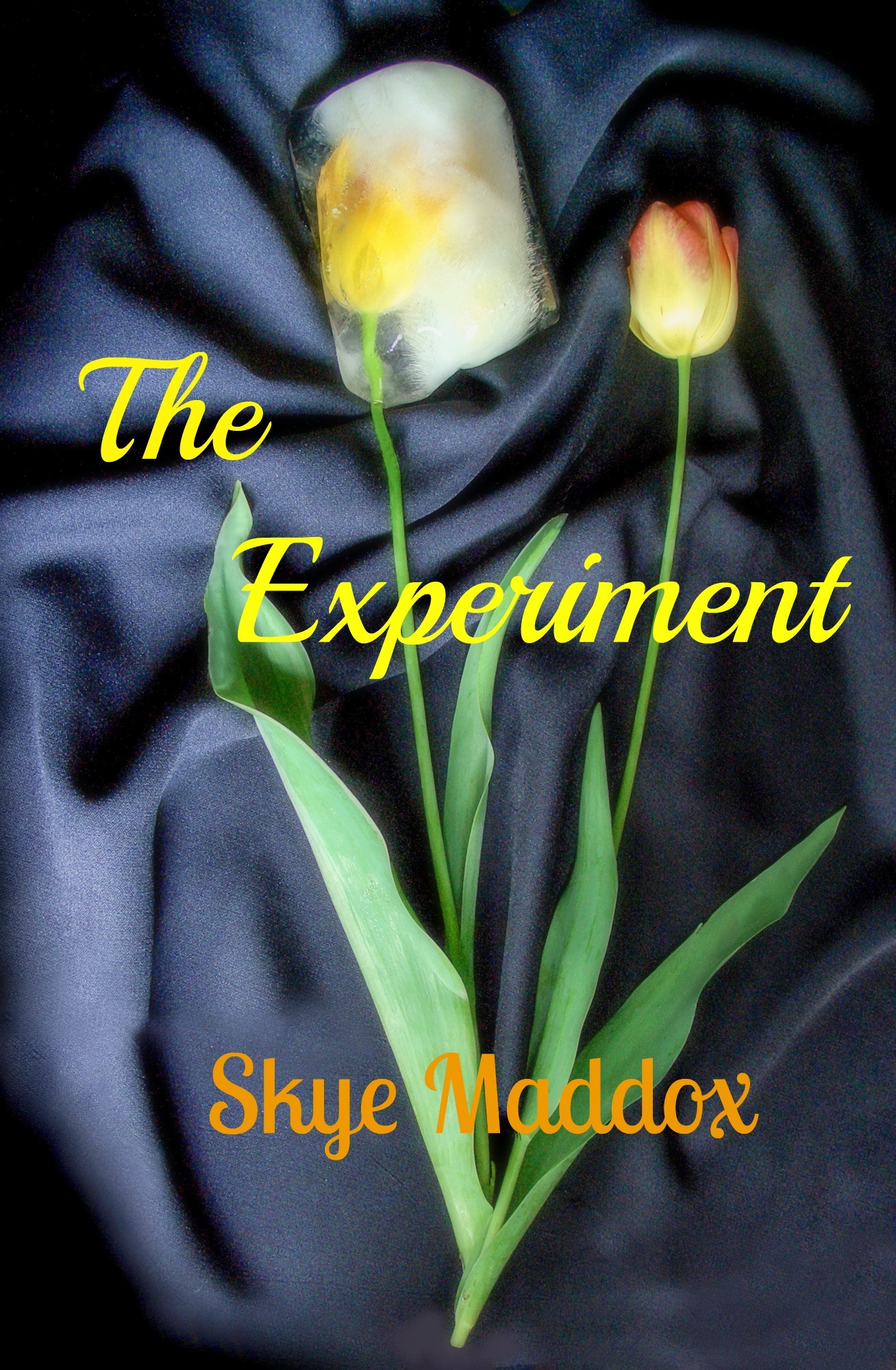 The Experiment (Pyramid Dommes, #1) by Skye Maddox | Goodreads
