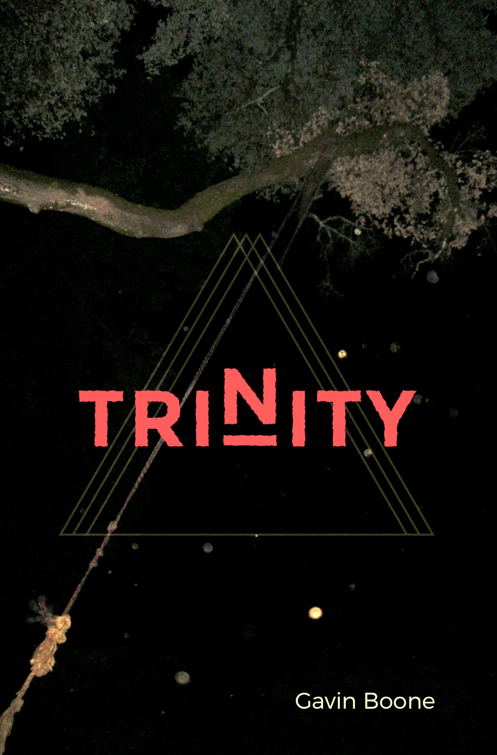 Trinity by Gavin Boone | Goodreads