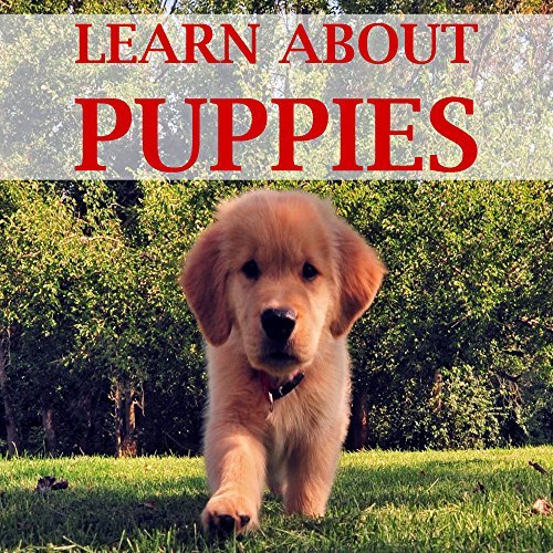 Children's Book: Puppies Books for Kids [learn about puppies] by Kevin ...