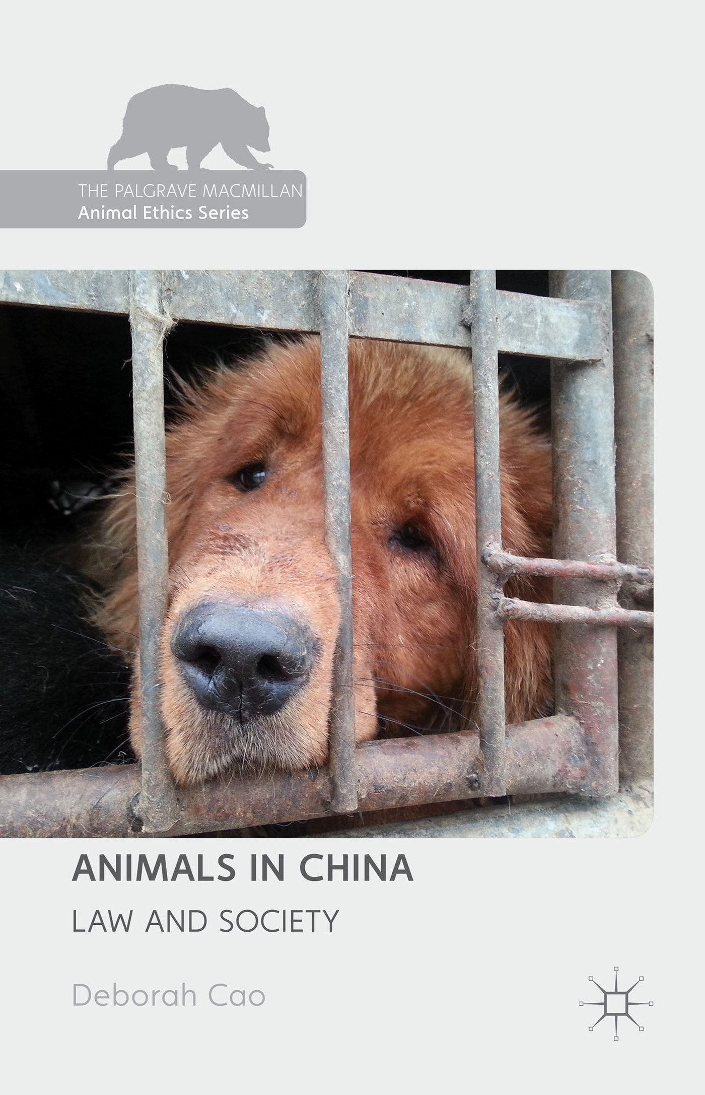 Animals in China: Law and Society by Deborah Cao | Goodreads